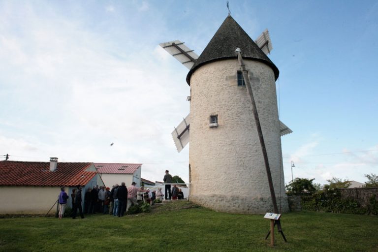 Échos du 3ème Congrès-Forum des Moulins Producteurs organisé par la ...