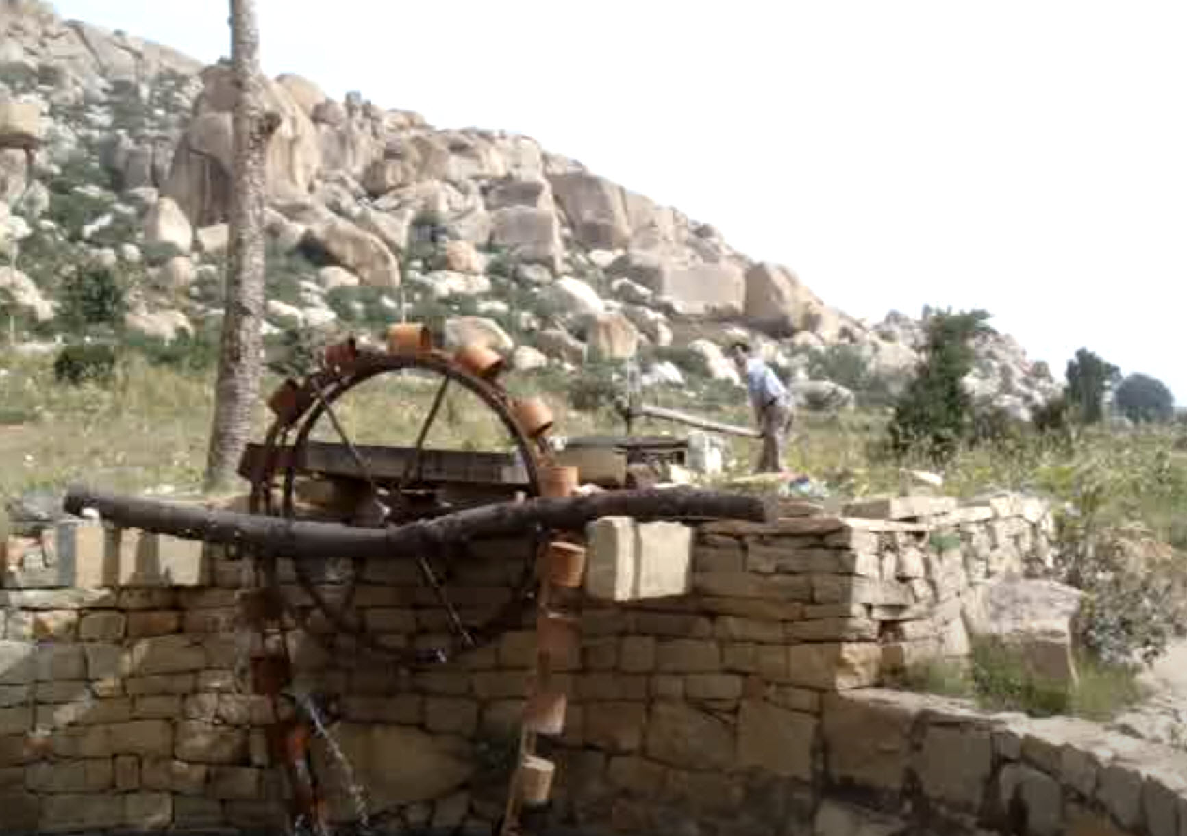 Inde : Roue persane Araghatta, dispositif de levage d'eau traditionnel ...